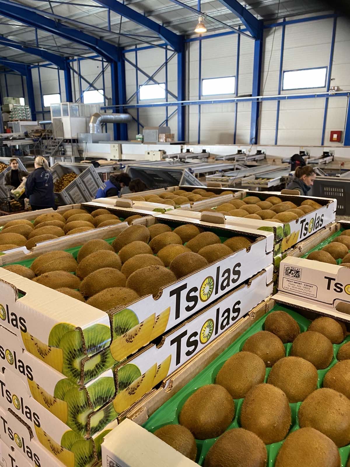 Προϊόντα – tsolasfruit.gr