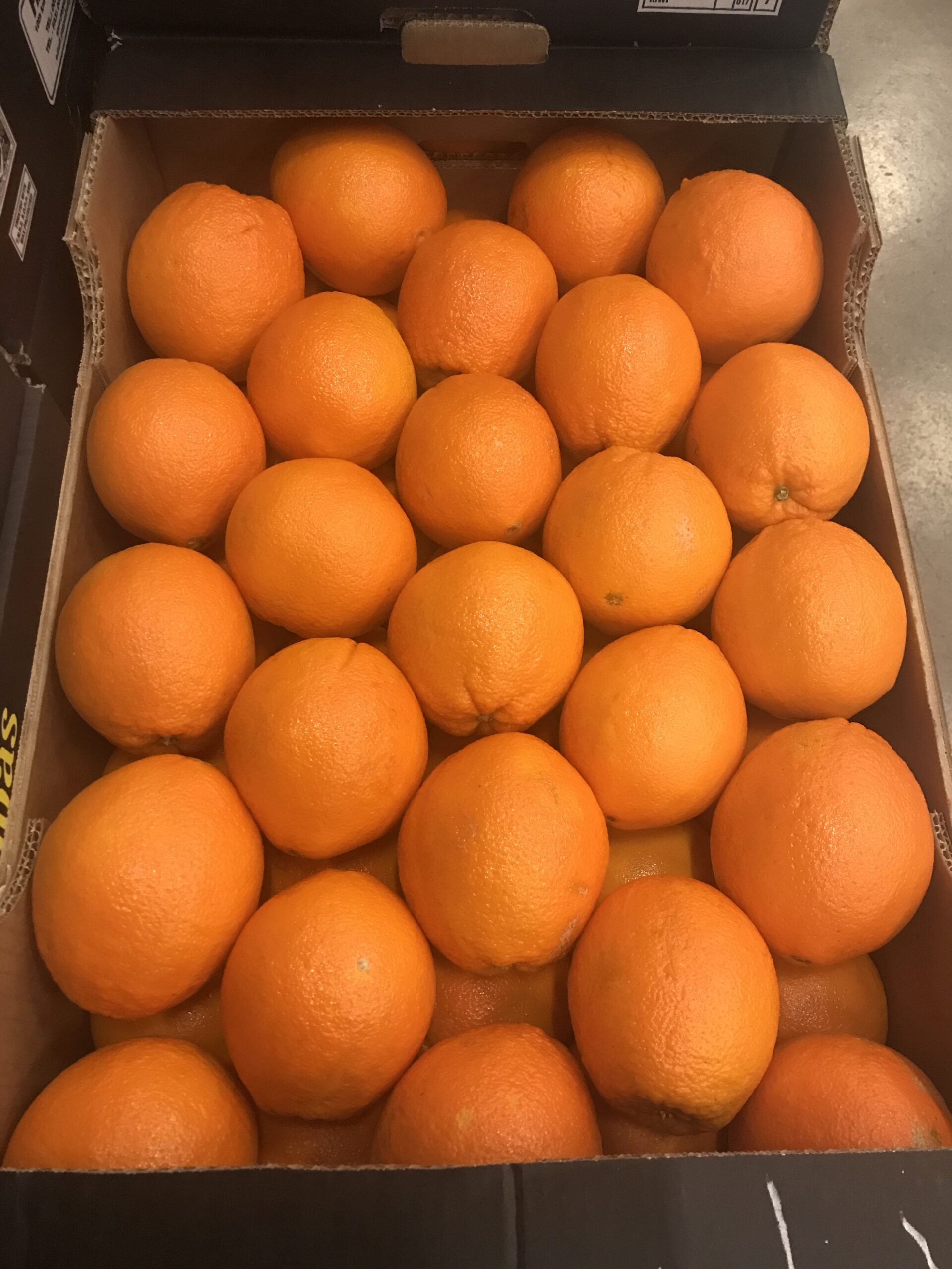 Προϊόντα – tsolasfruit.gr