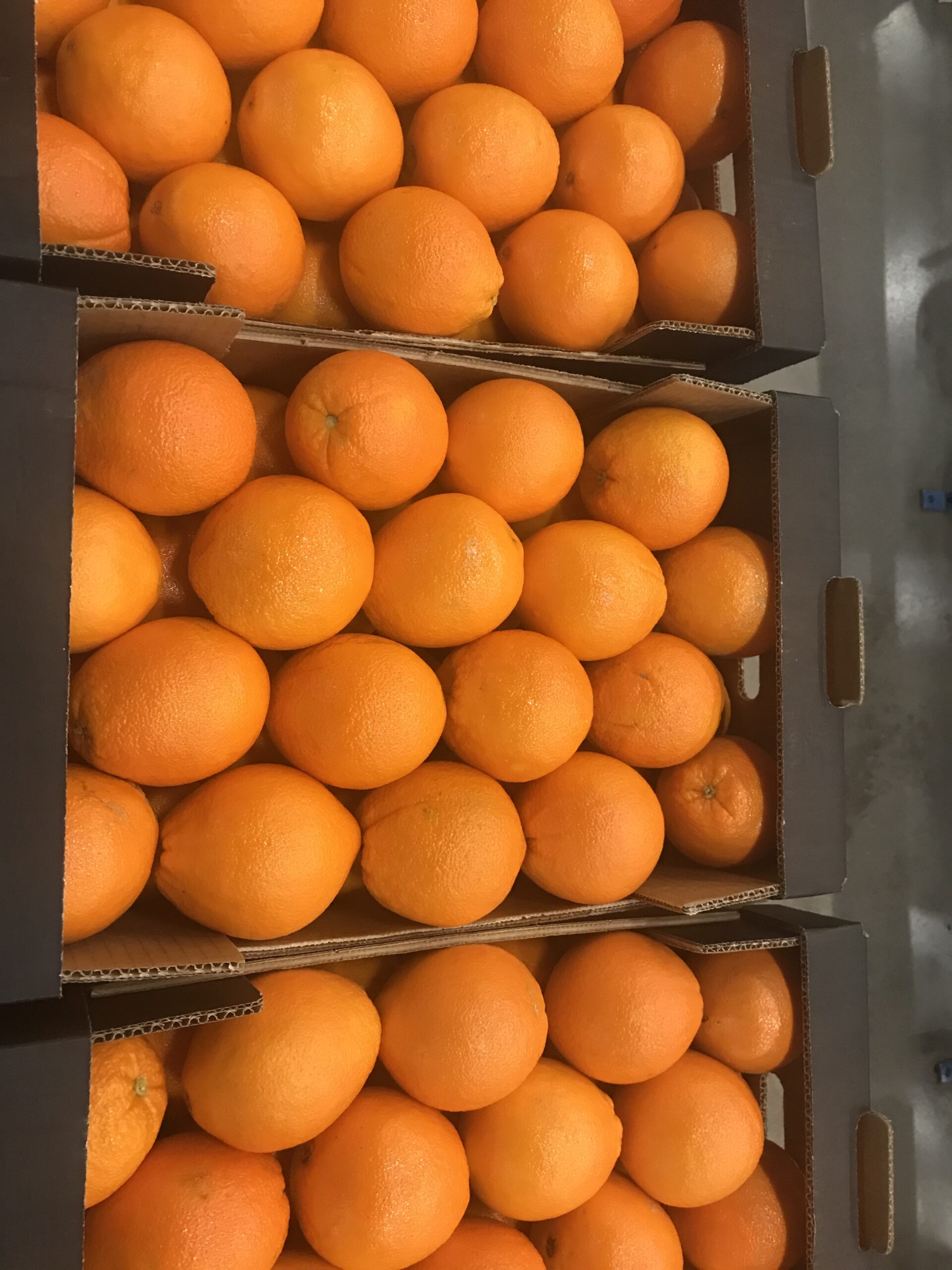 Προϊόντα – tsolasfruit.gr